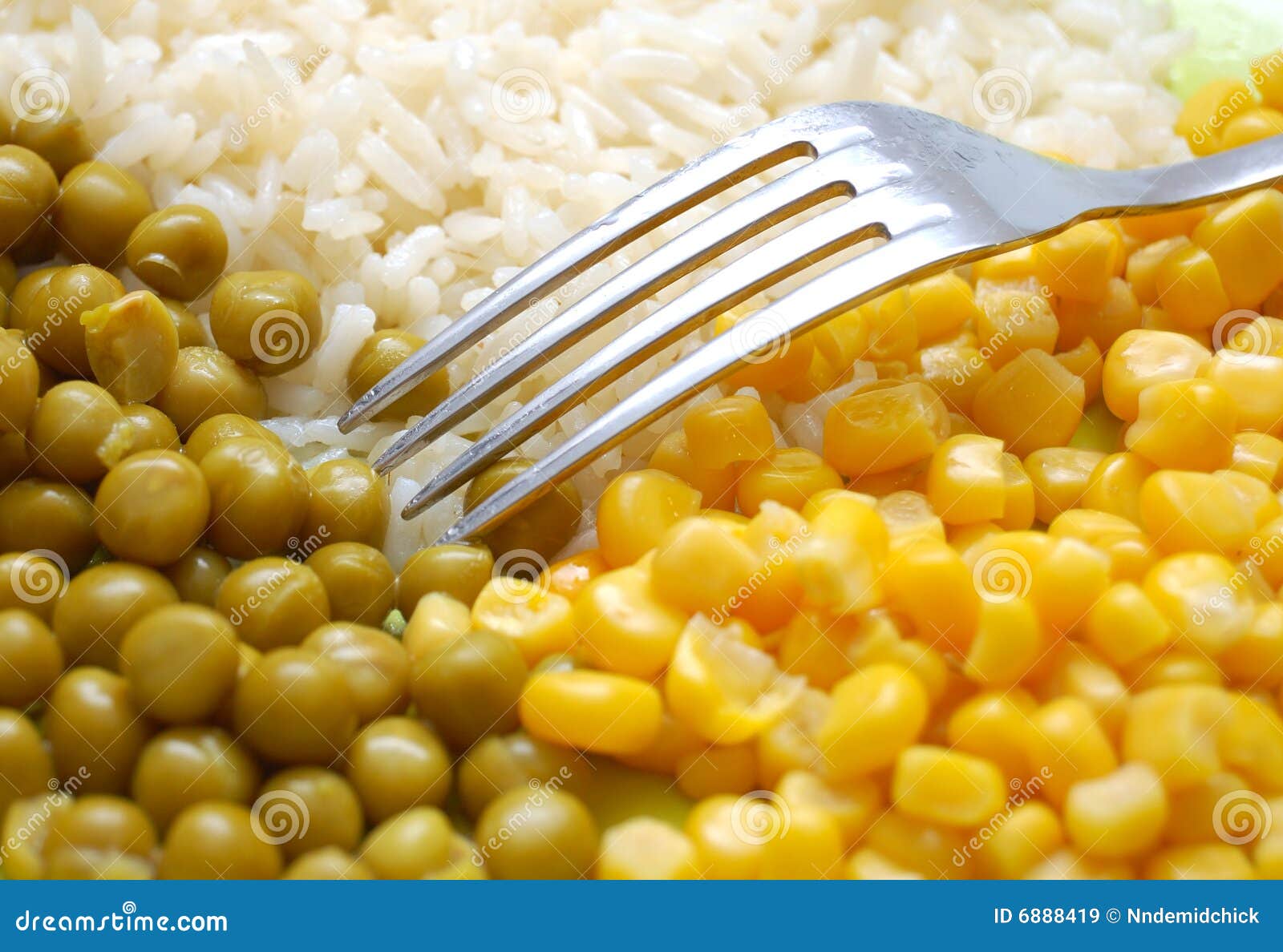 Fork on Dish with Vegetarian Food Stock Image - Image of dish, plate ...