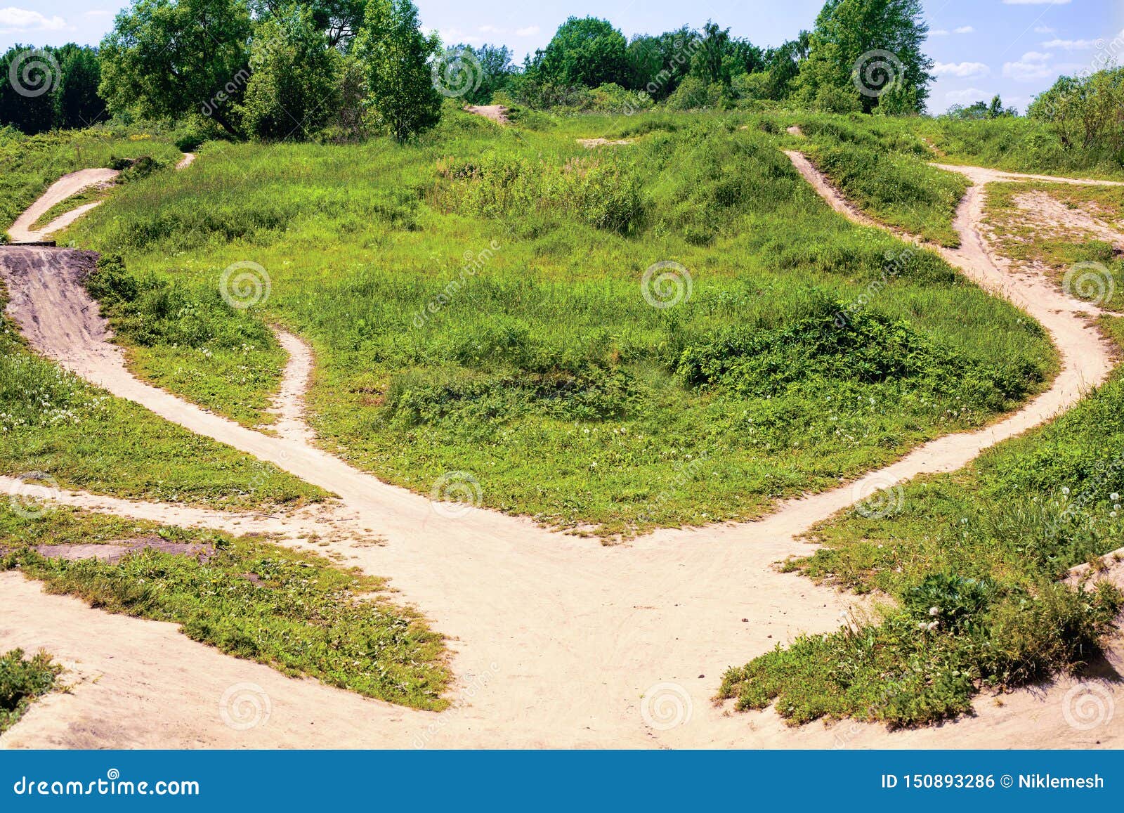 Divergence Of Paths. A Wide Alley In The Park Is Divided Into Two Paths ...