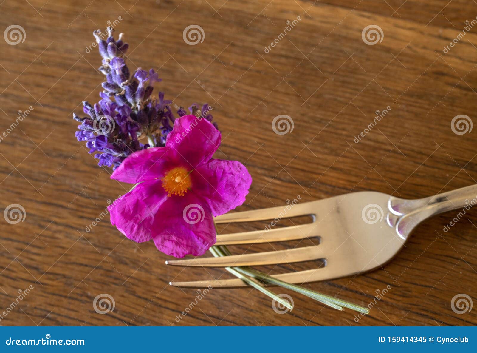 Fork and flower stock image. Image of alternative, cistus - 159414345
