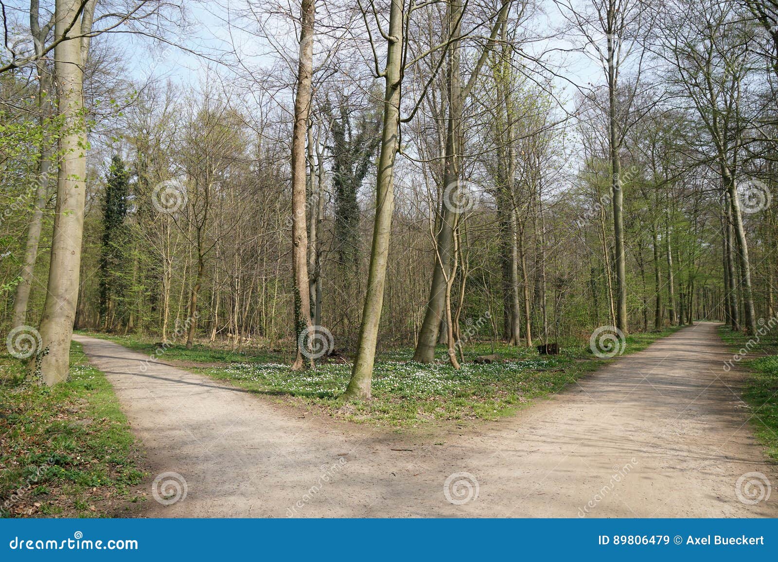 Fork Of A Path In A Two-color Field. Two Roads To The Right And Left To ...
