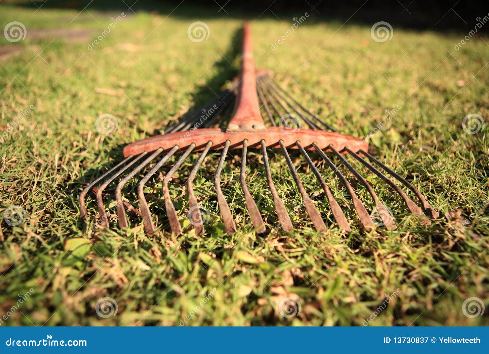 The fork in the garden stock image. Image of park, hayfork - 13730837