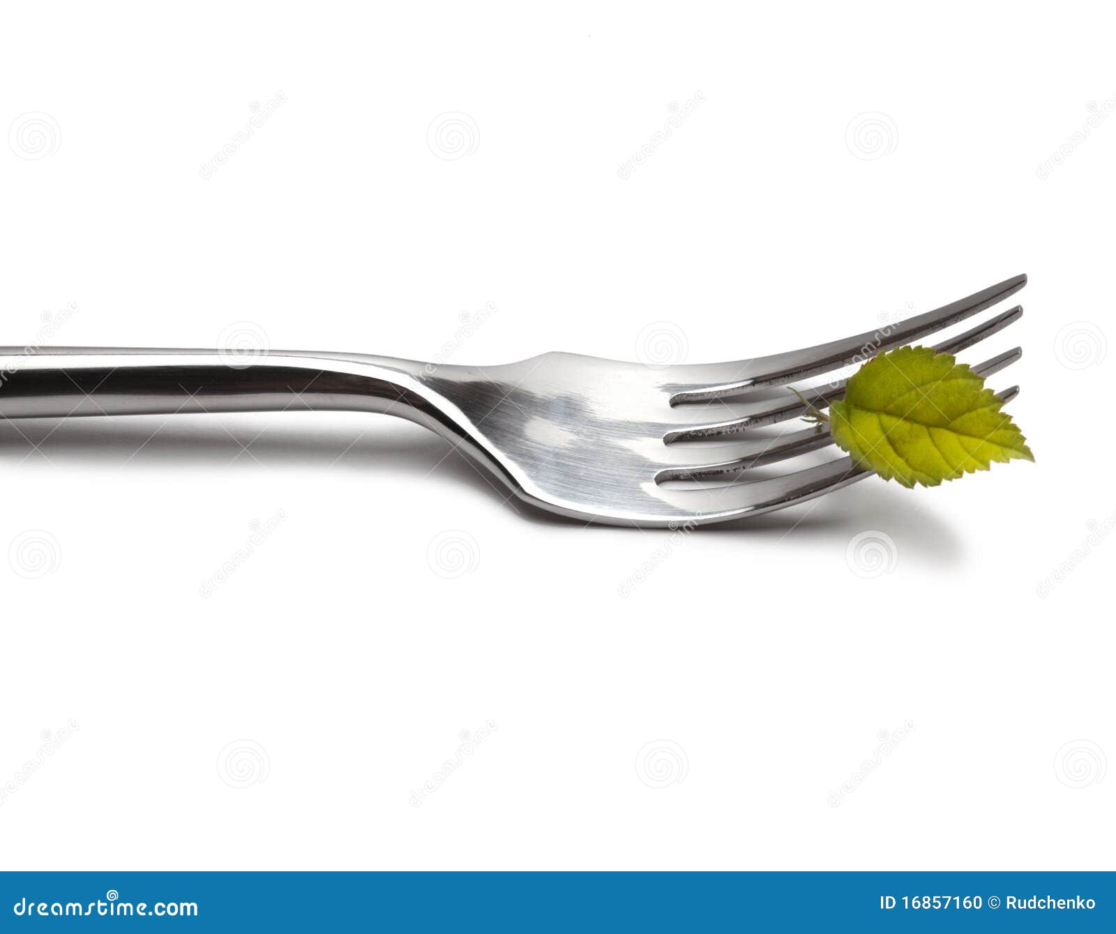Fork with green leaf stock photo. Image of kitchen, closeup - 16857160