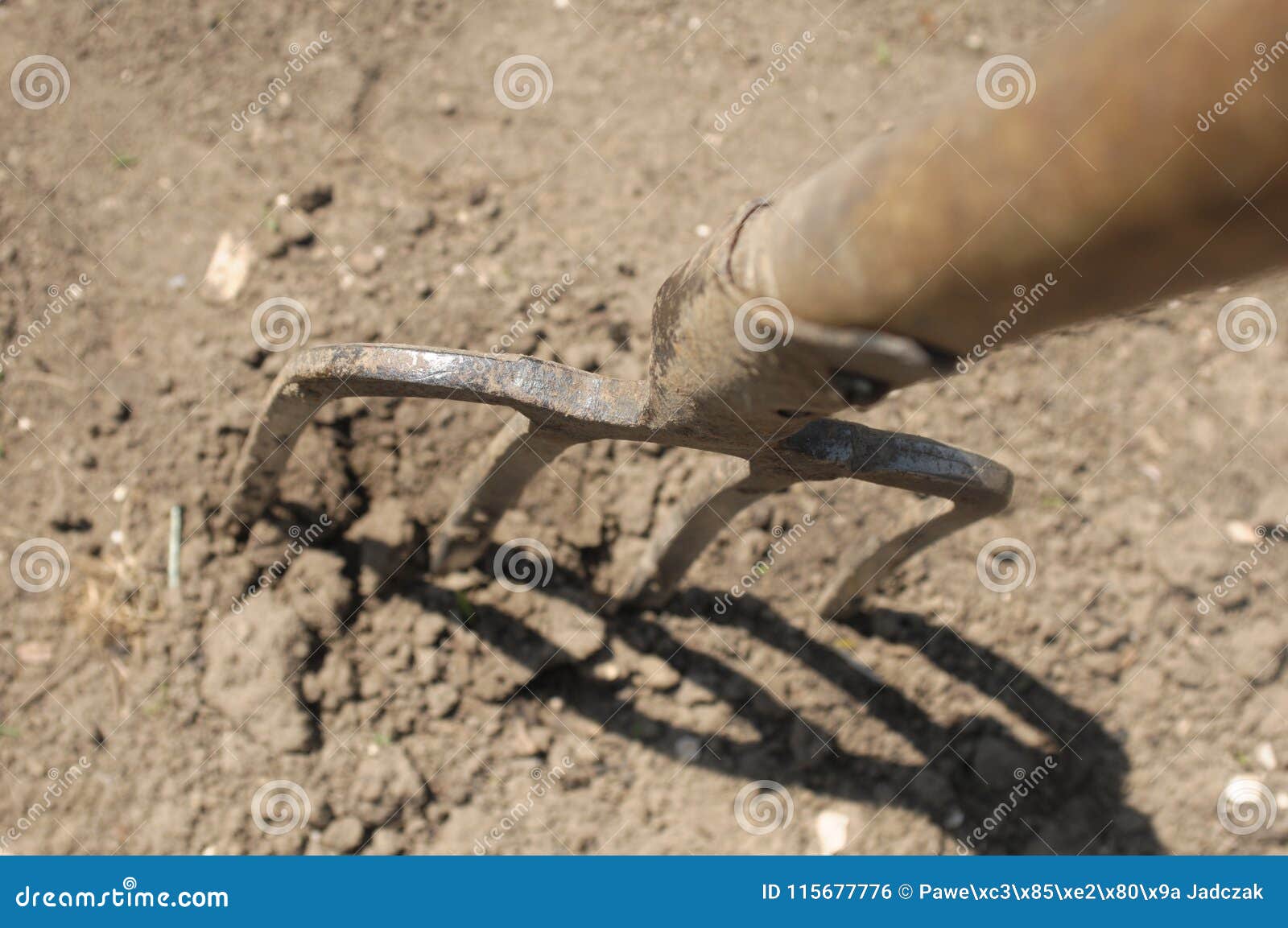 Fork in the ground stock photo. Image of sand, garden - 115677776