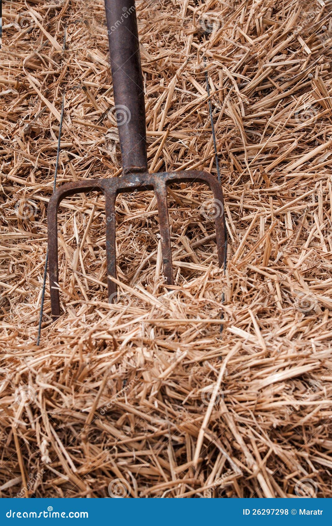 Fork and hay stock photo. Image of brown, composting - 26297298