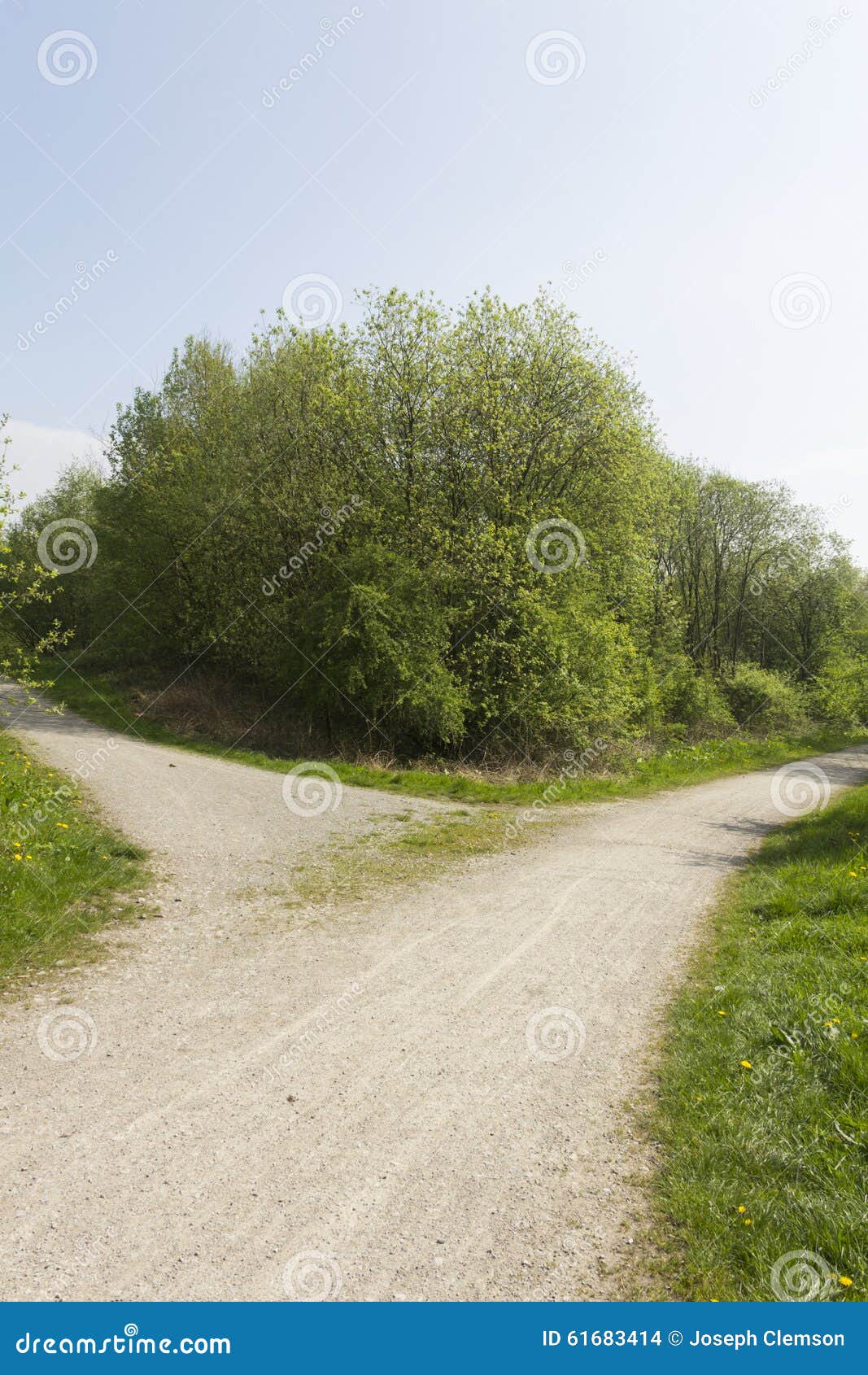 Fork Of A Path In A Two-color Field. Two Roads To The Right And Left To ...
