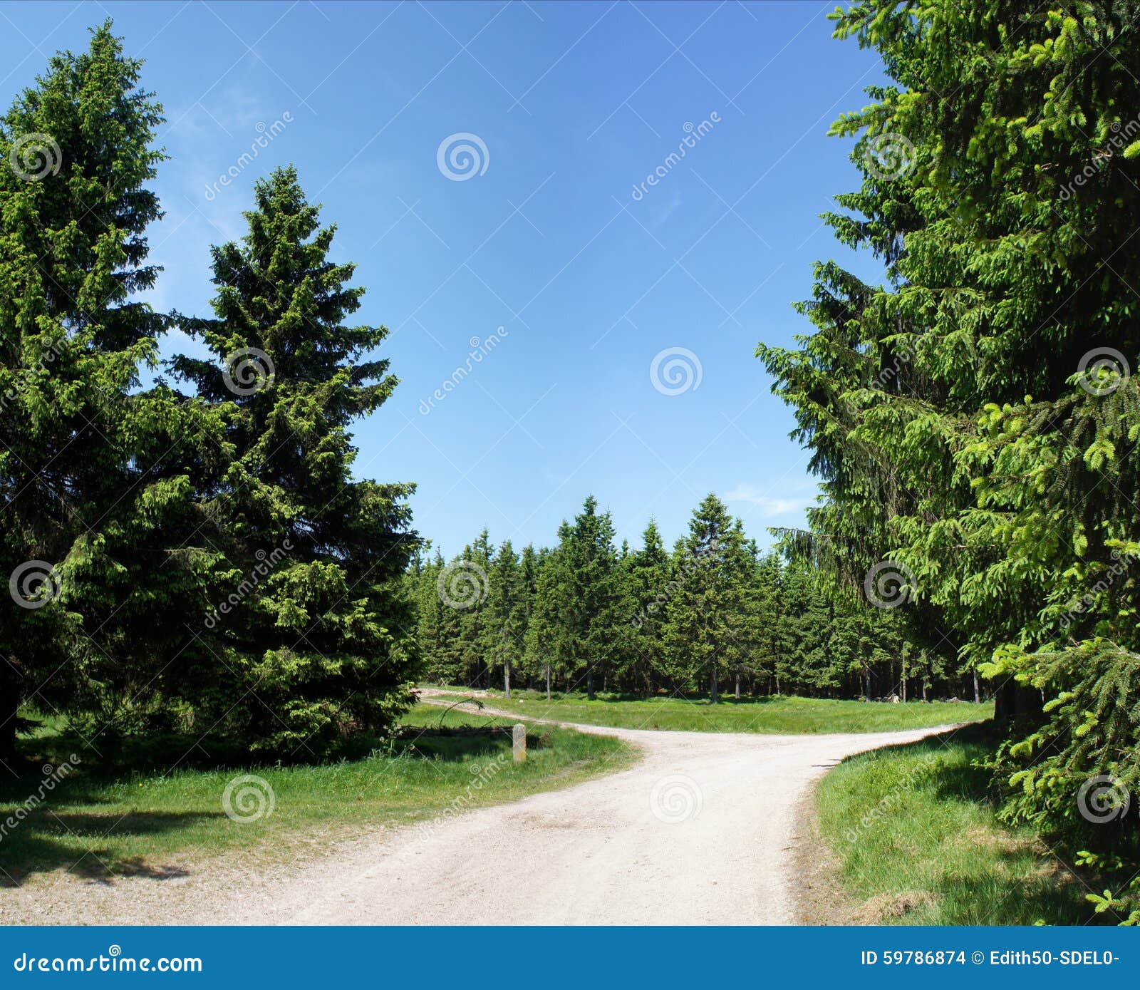 Fork in the path stock photo. Image of hiking, mountain - 59786874
