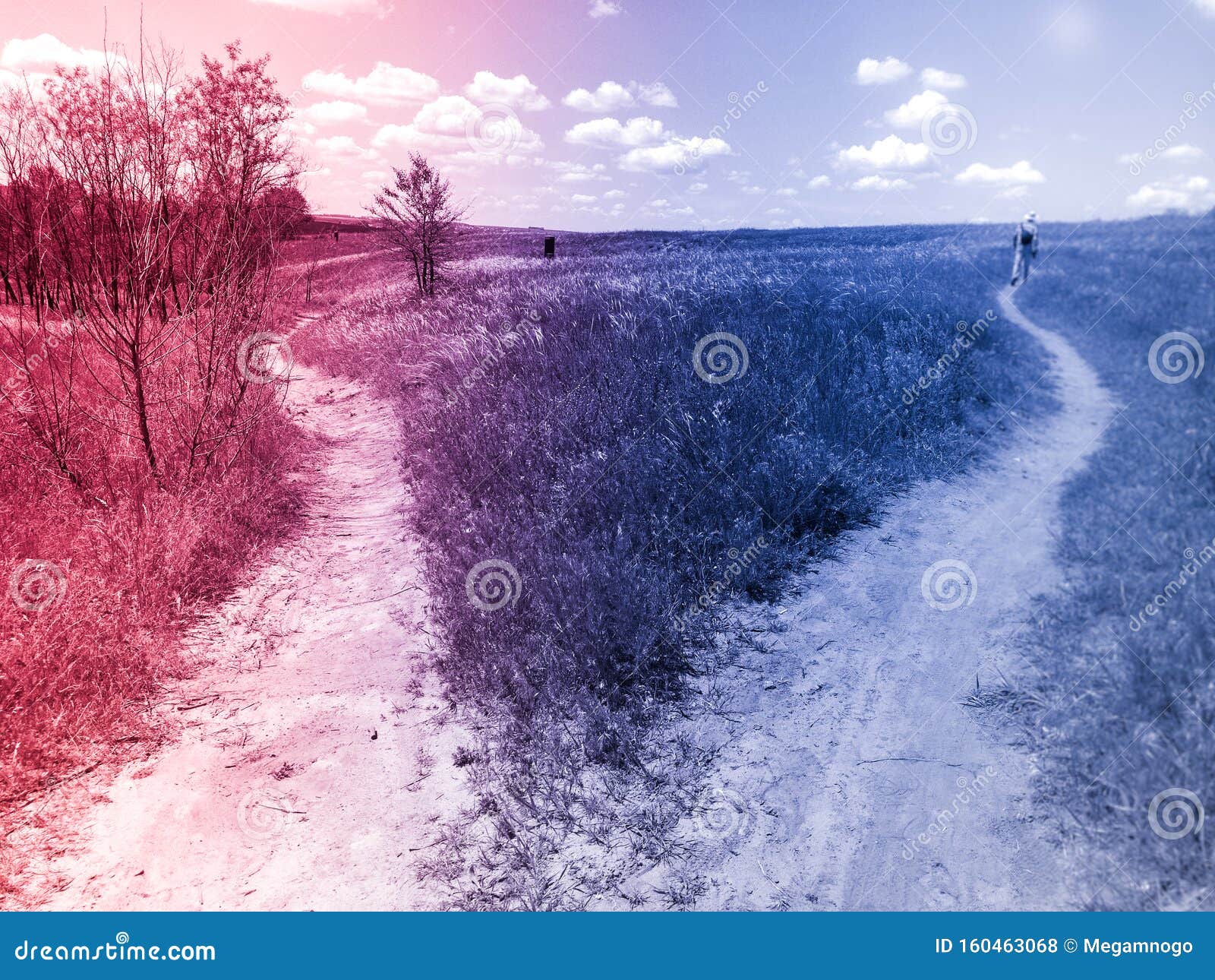 Fork Of A Path In A Two-color Field. Two Roads To The Right And Left To ...