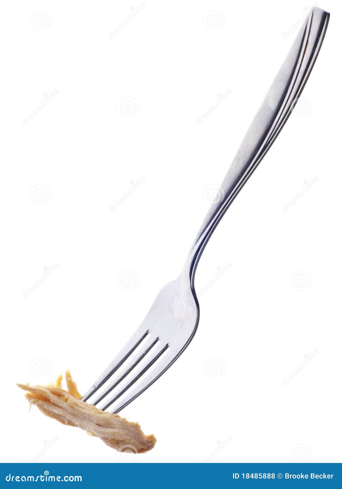 Fork with Piece of Cooked Chicken Stock Photo - Image of dinner, studio ...