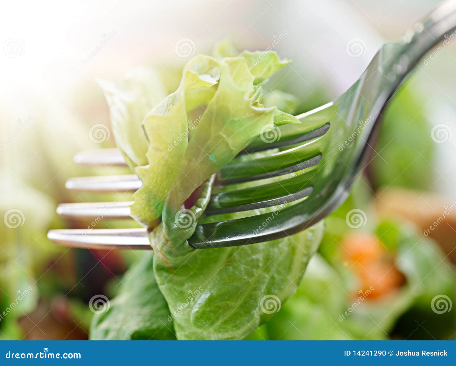 Fork piercing lettuce stock photo. Image of diet, leafy - 14241290