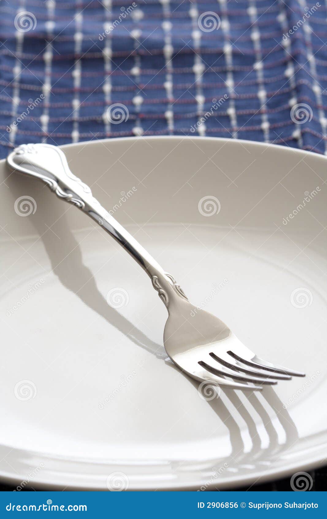 Fork and plate stock photo. Image of cafeteria, cutlery - 2906856