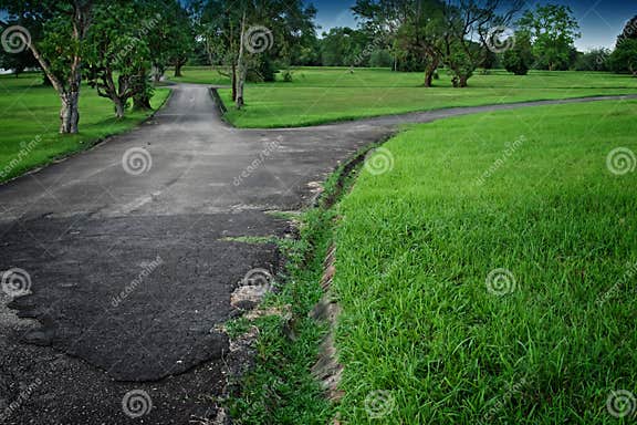 Fork in the road stock photo. Image of destination, journey - 17375318