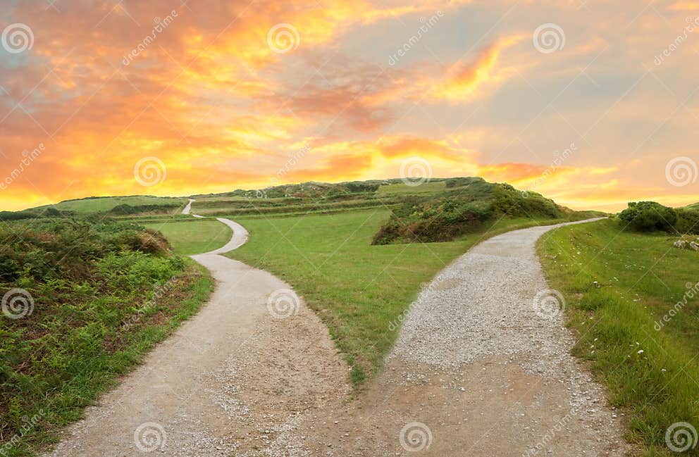 Fork in the road stock photo. Image of sunset, road - 132911722