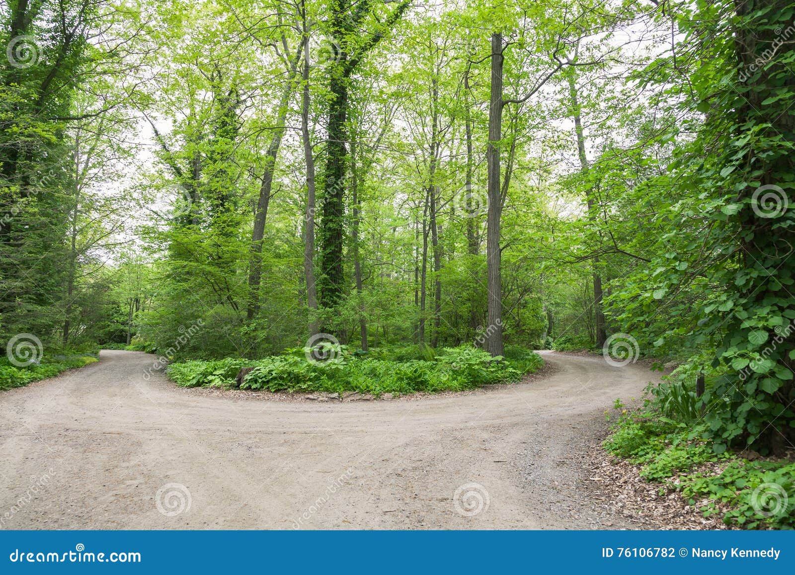 A Fork in the Road stock photo. Image of fork, intersection - 76106782