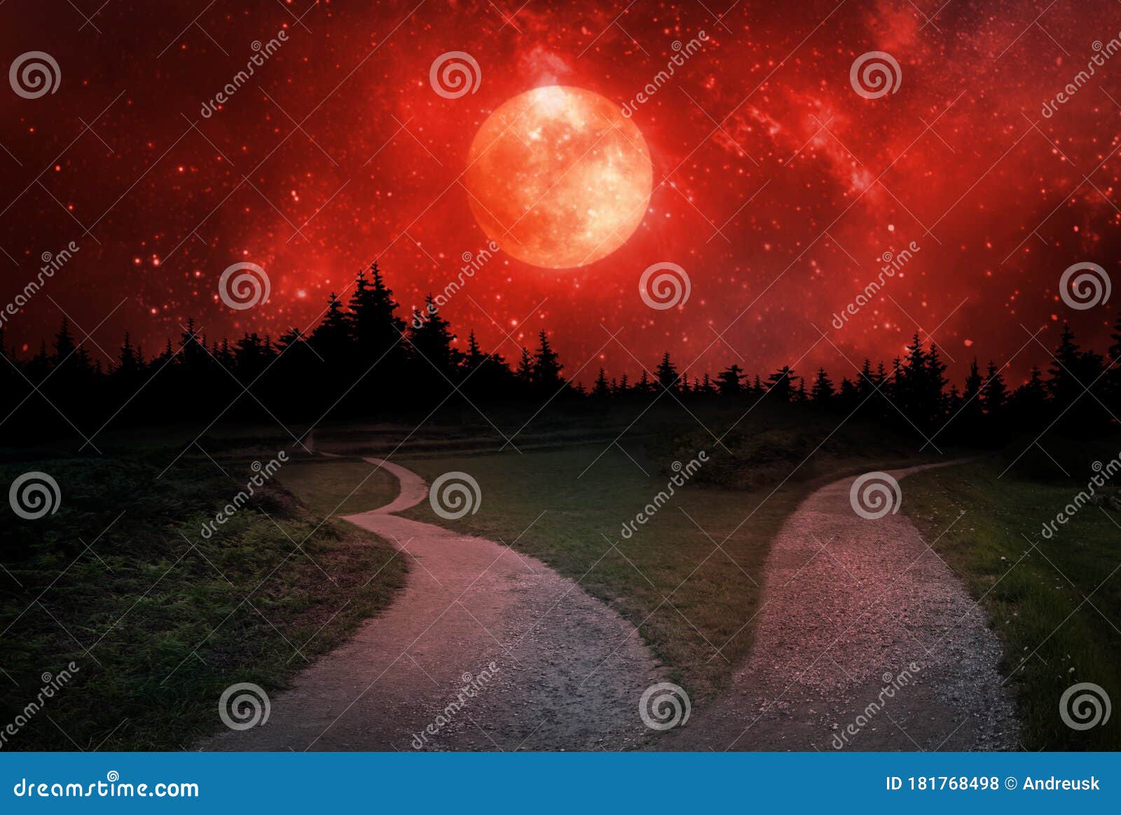 Fork in the Road at Night, Lost in the Forest and the Halloween Scary ...