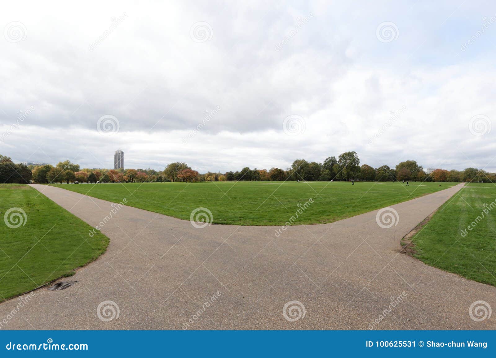 Fork road in the park stock image. Image of park, hyde - 100625531