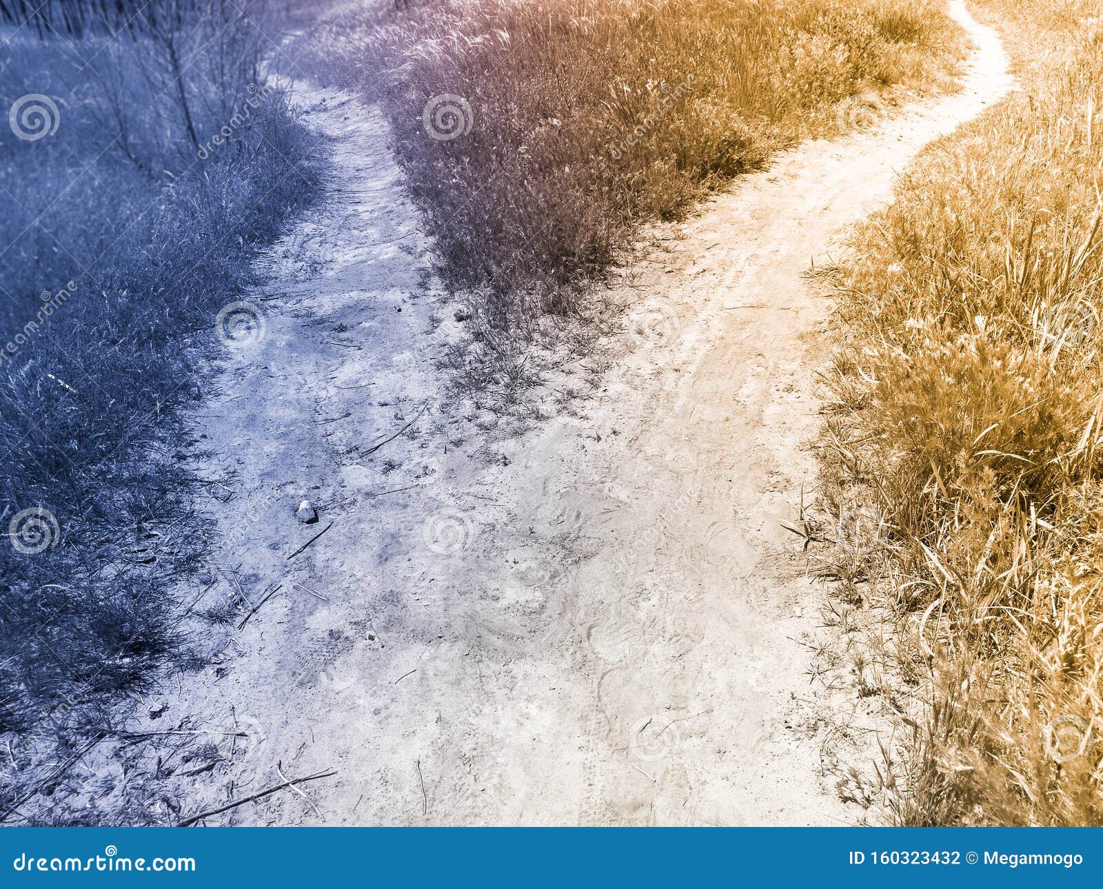 Concept Of Choice With Pathway In Two Ways Stock Photo | CartoonDealer ...