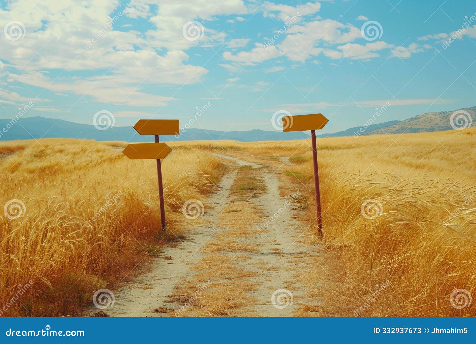A Fork in the Road stock illustration. Illustration of wheat - 332937673
