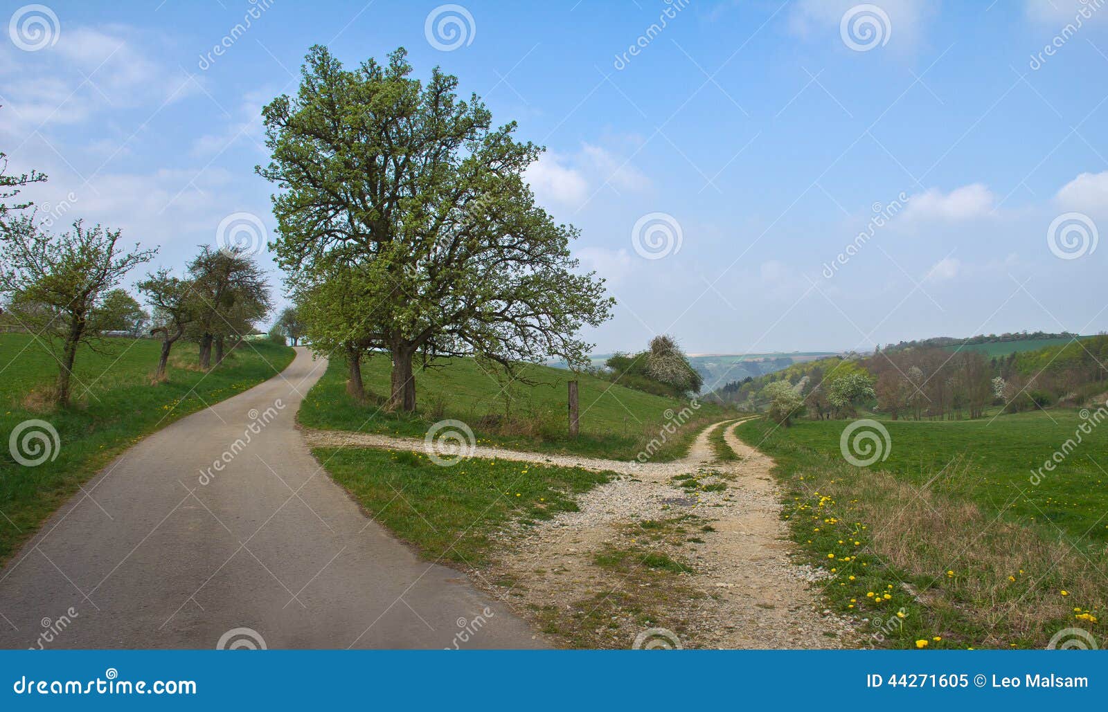 Fork in the road stock image. Image of russia, intersection - 44271605