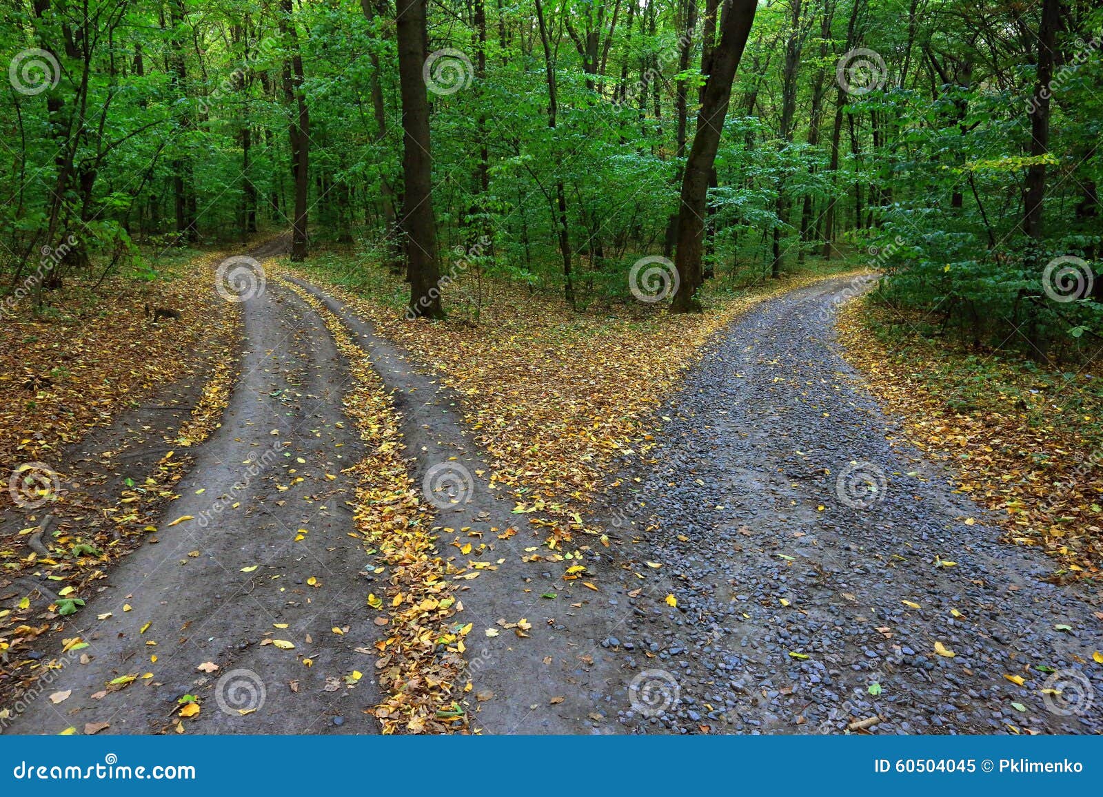 Fork roads stock image. Image of alternative, path, junction - 60504045