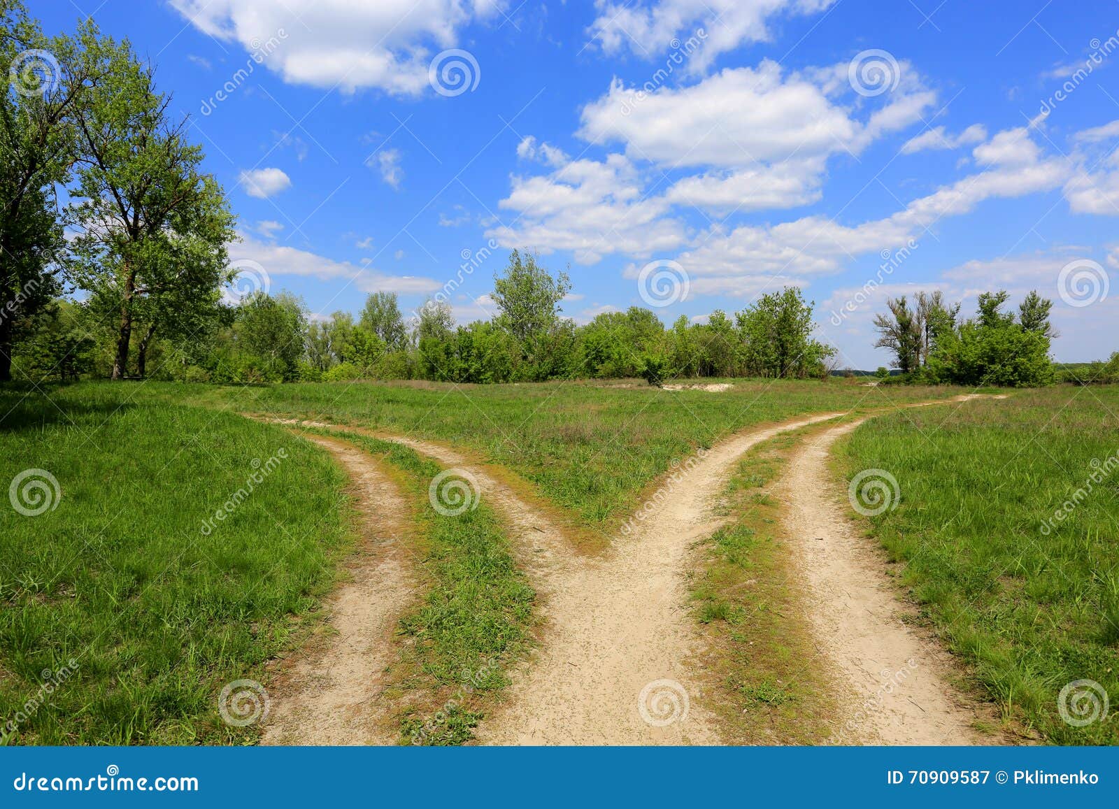 Multiple Paths Forest