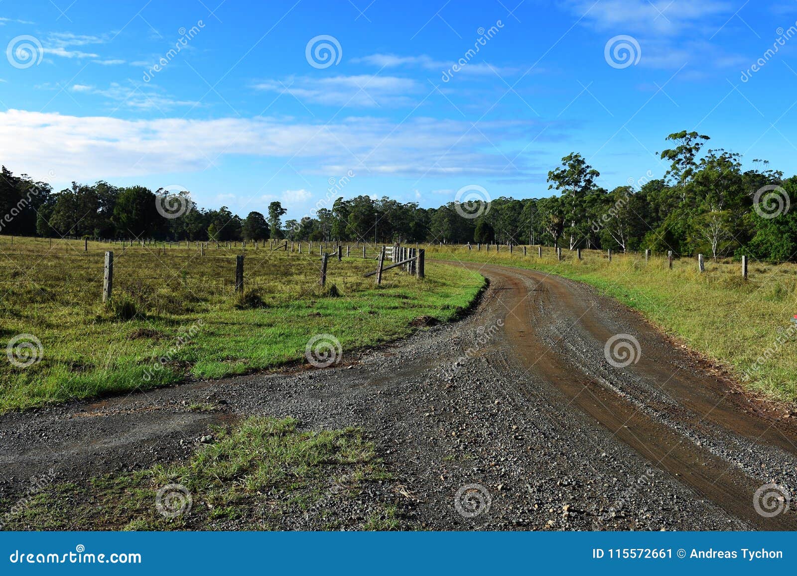 Fork in a rural dirt road stock image. Image of view - 115572661
