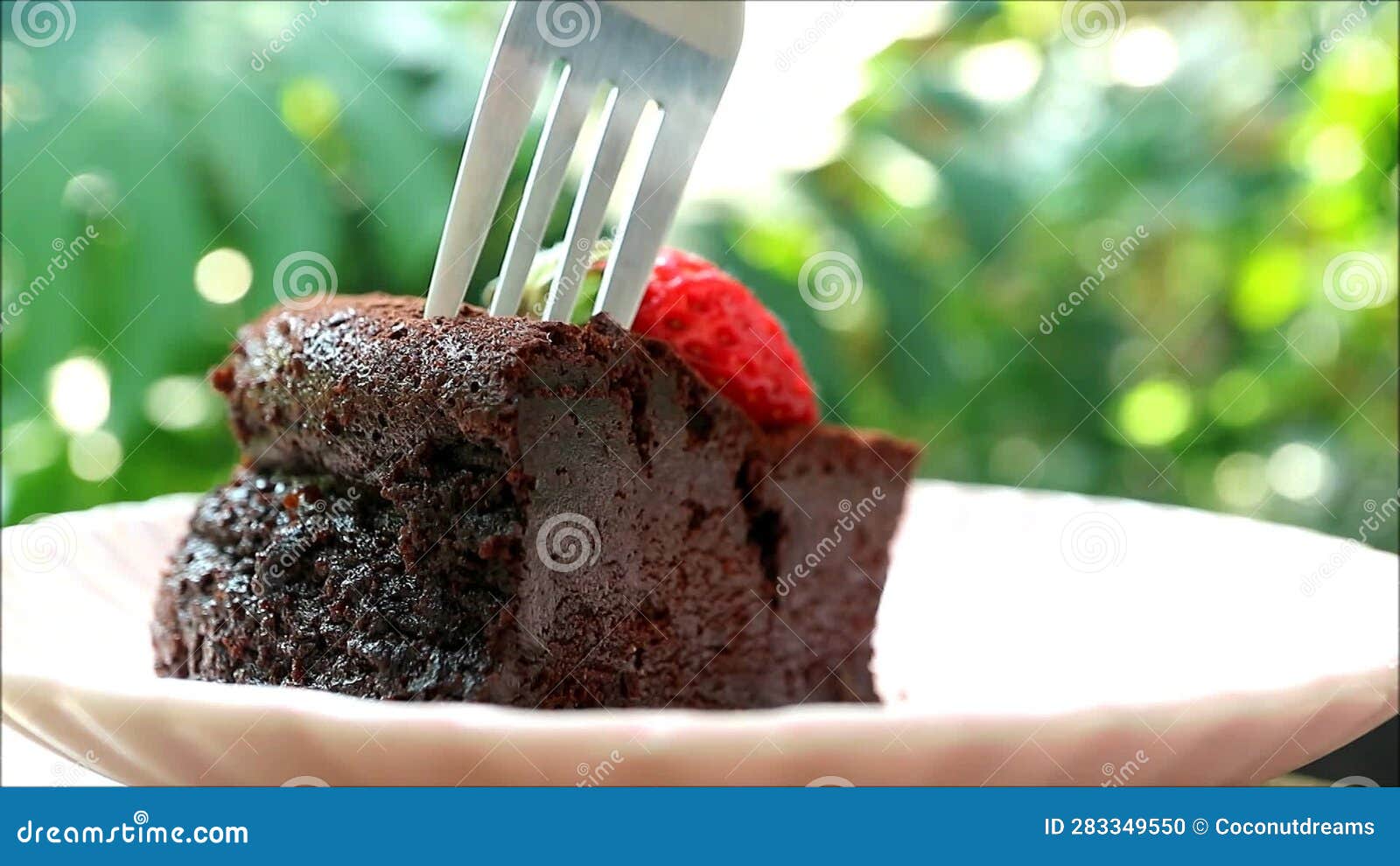 Fork Scooping Moist and Dense Texture of Flavorful Flourless Chocolate ...