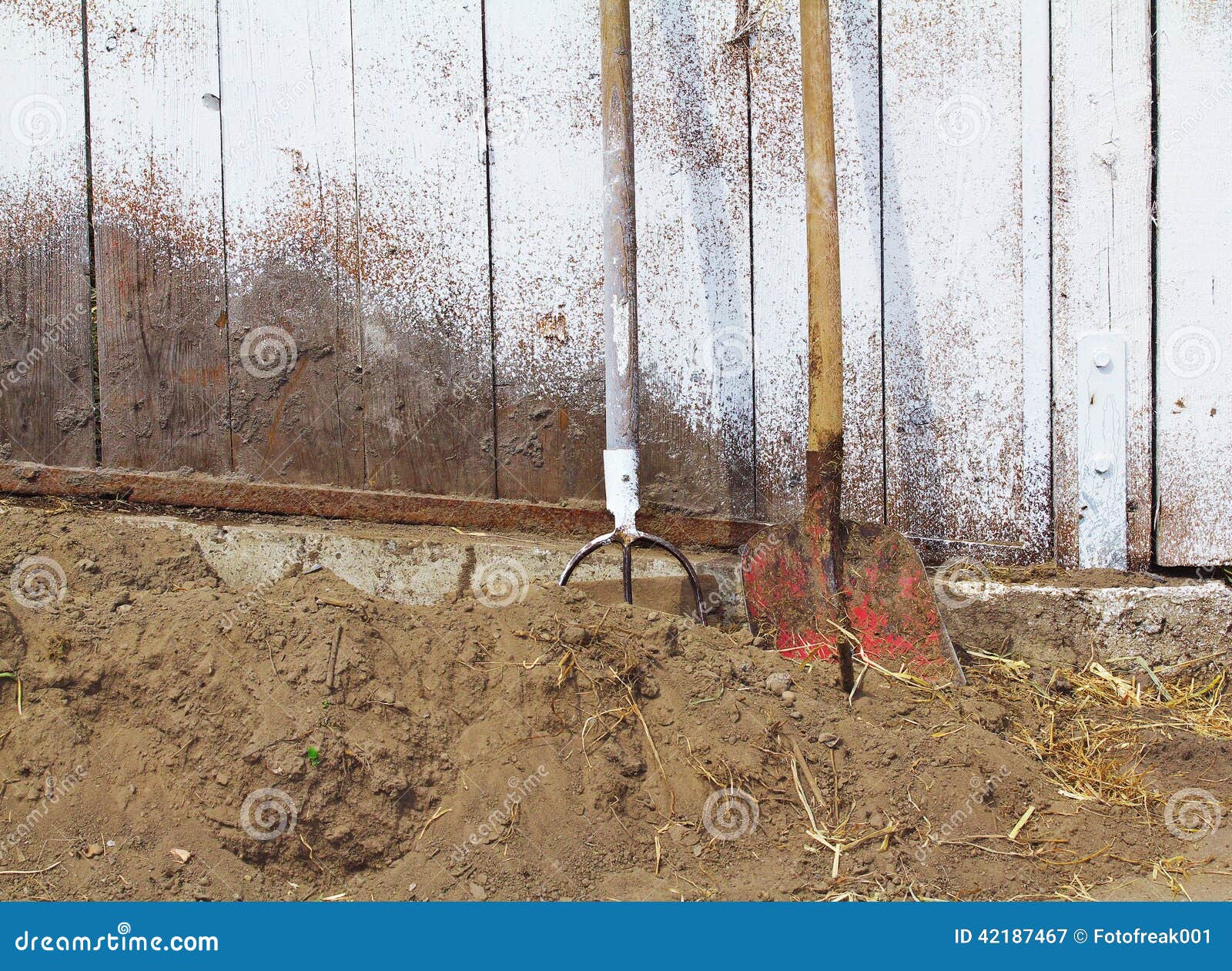 Fork and shovel stock image. Image of muck, sand, fork - 42187467