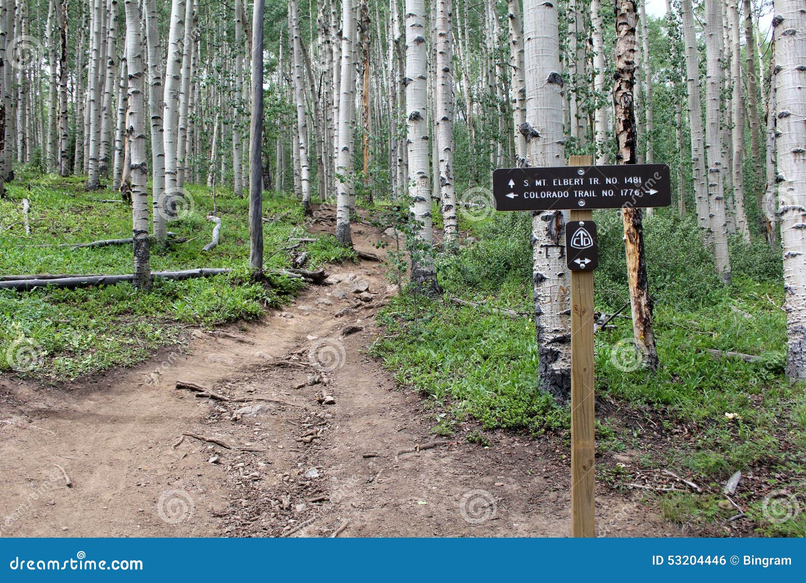 Fork in the trail stock photo. Image of hiking, campsite - 53204446