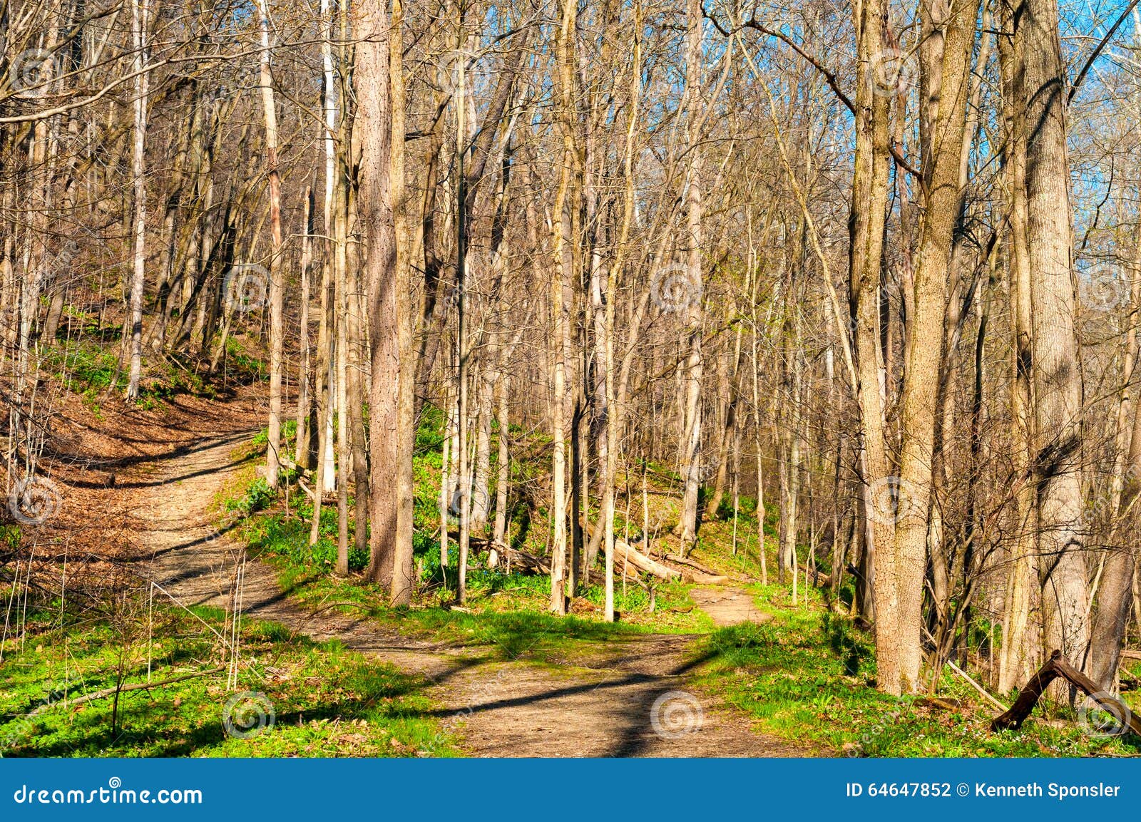 Fork in the trail stock photo. Image of sunny, slope - 64647852