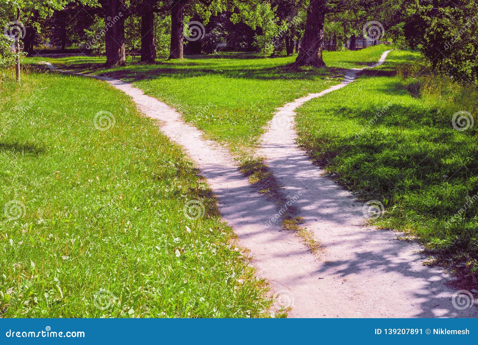 Forked Footpath in the Park, Diverging in Different Directions Stock ...