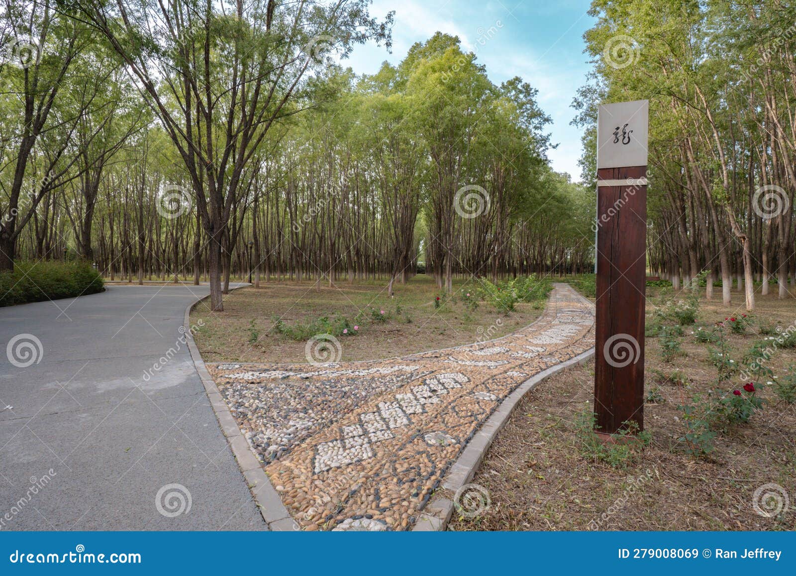 A Forked Path in a Park in the Suburbs of Beijing Editorial Stock Image ...