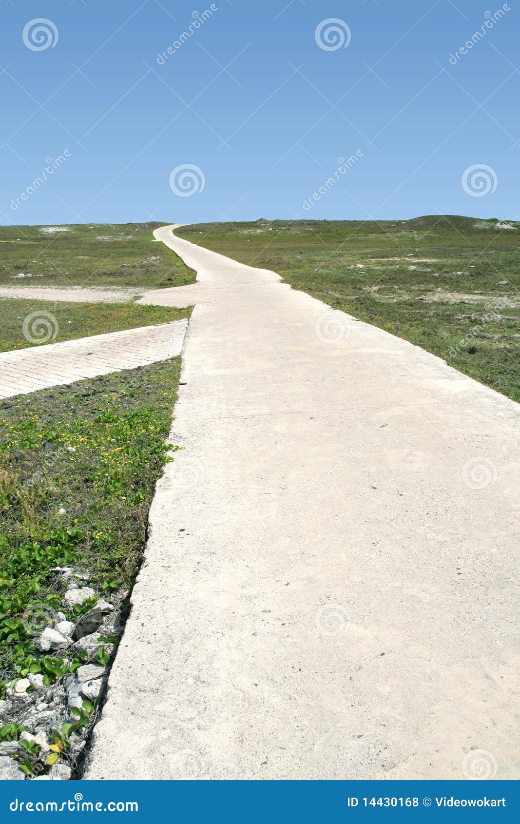 Forked walkway stock photo. Image of fork, decision, direction - 14430168