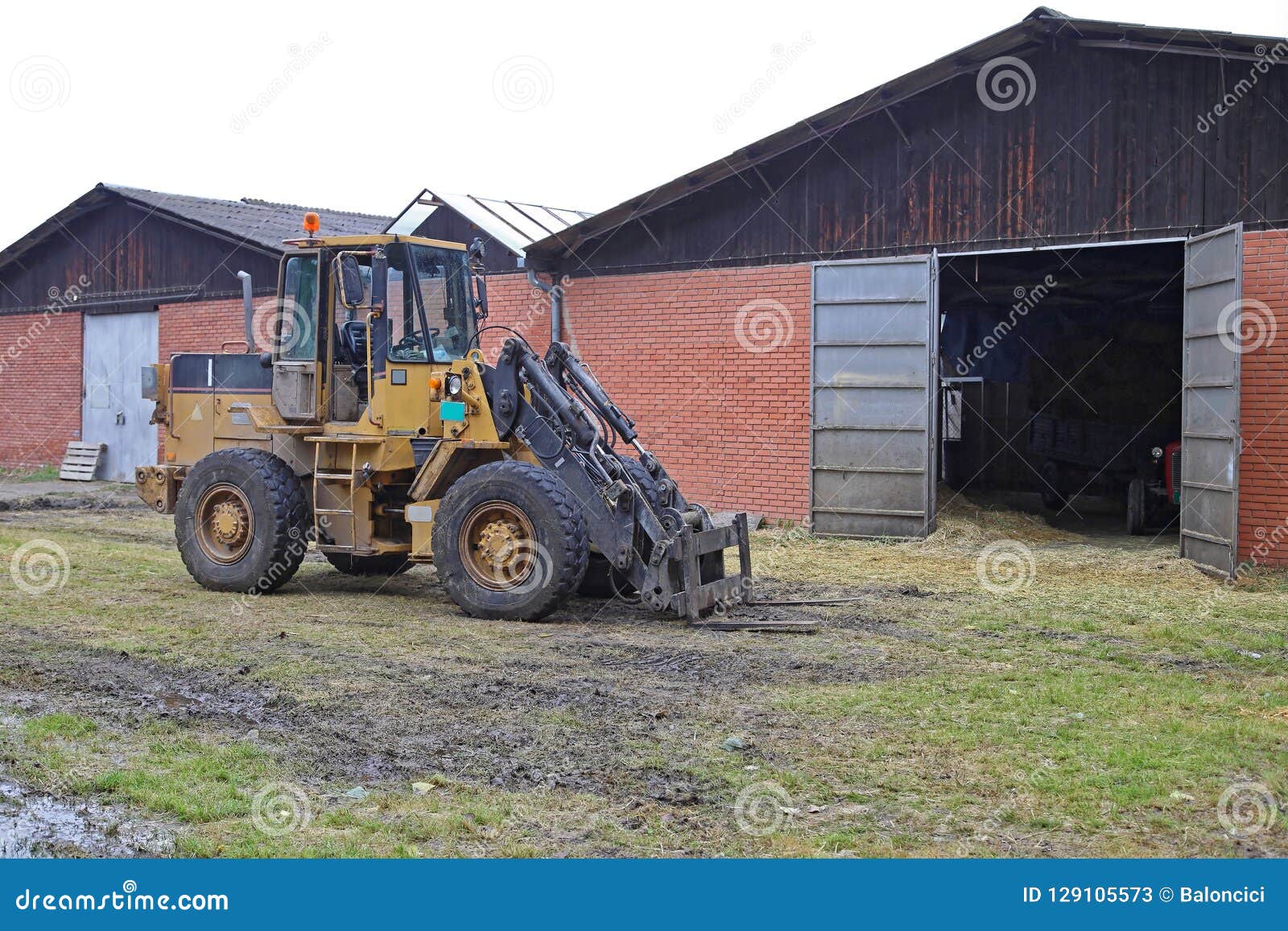 Big Forklift Loader at Farm Stock Image - Image of farm, outdoor: 129105573