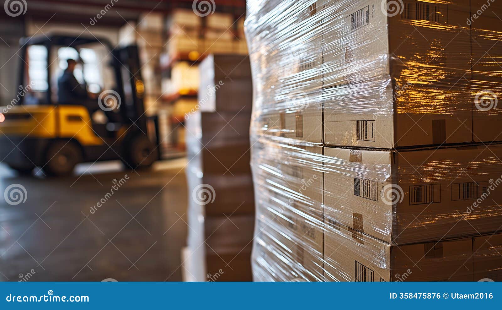 Forklift Operator Moving in Warehouse with Stacked Boxes Wrapped in ...