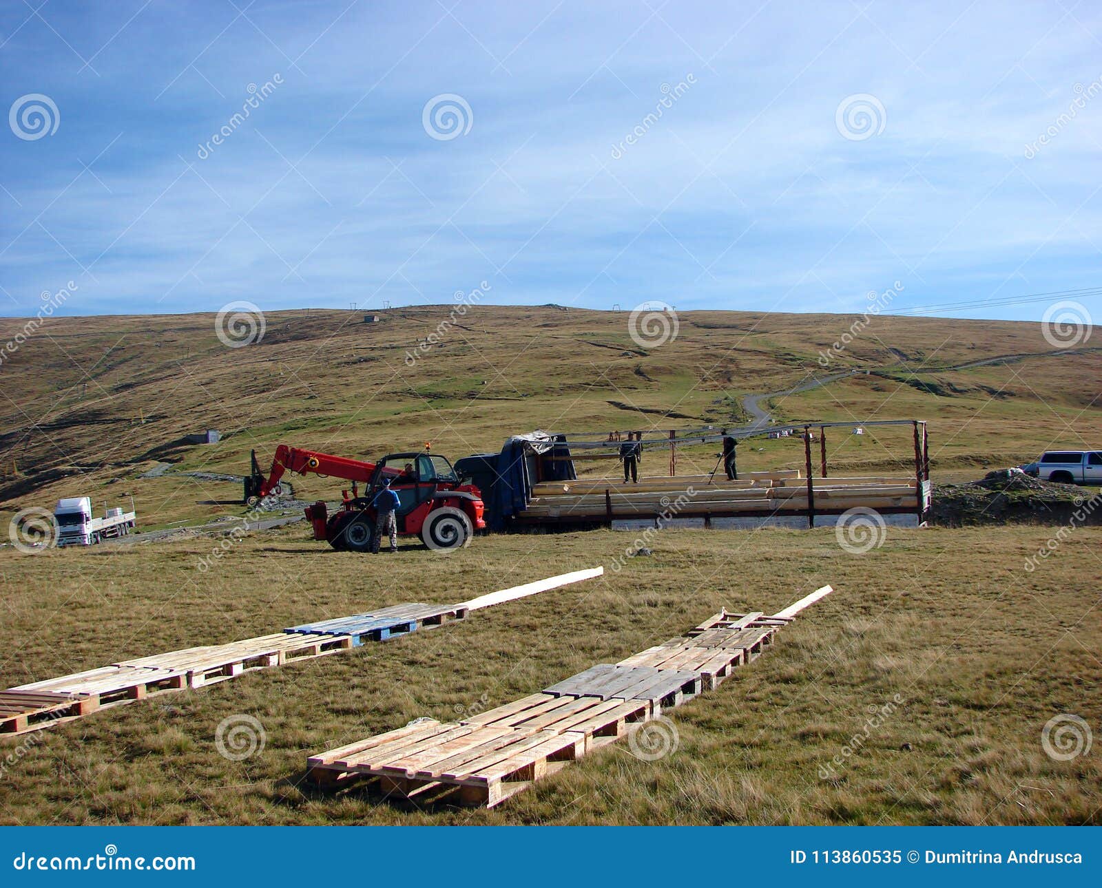 Forklift unload logs stock image. Image of heavy, forest - 113860535