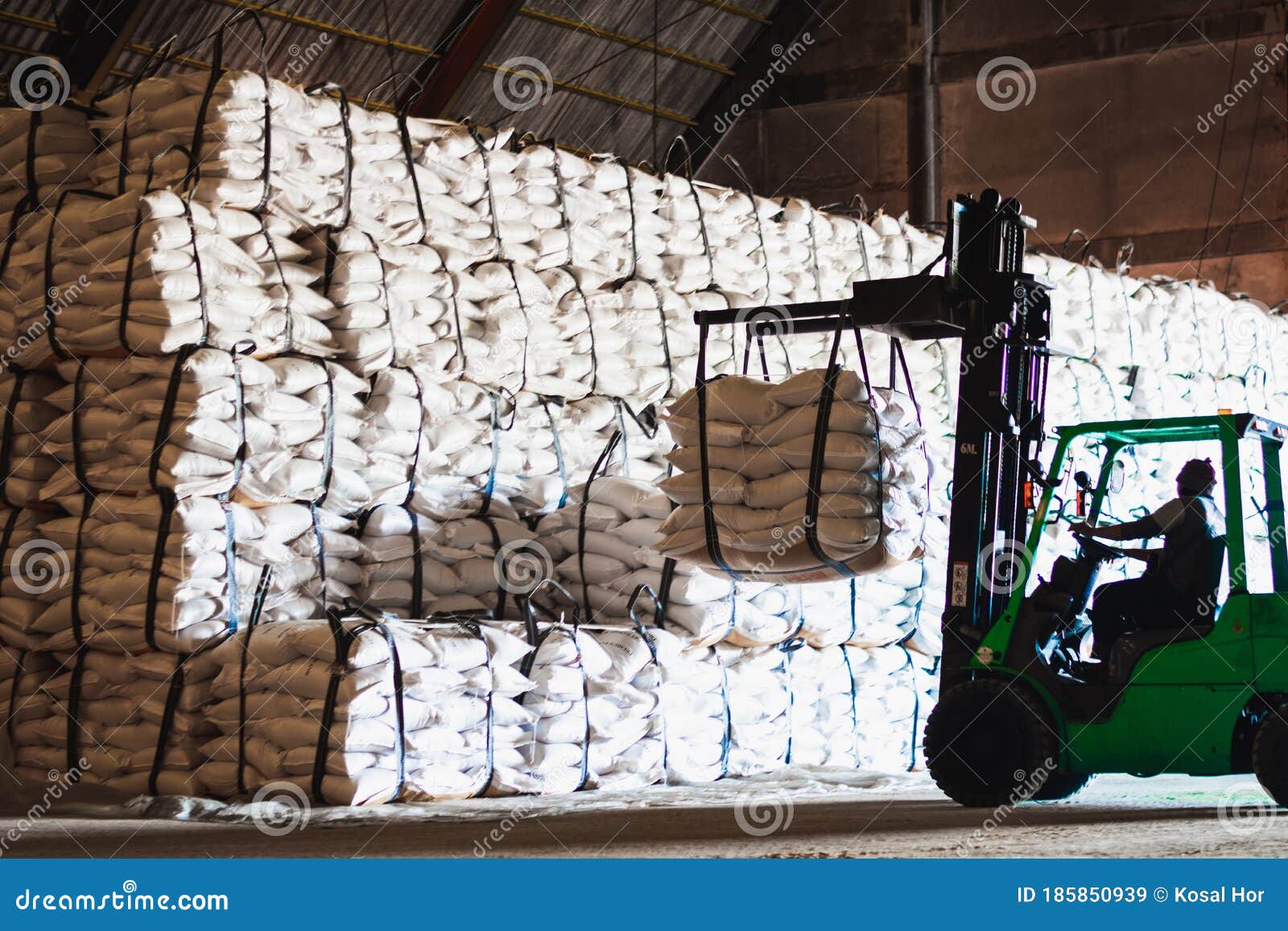 Sugar Warehouse Activities, Forklift Carries Sugar Bags To Container ...
