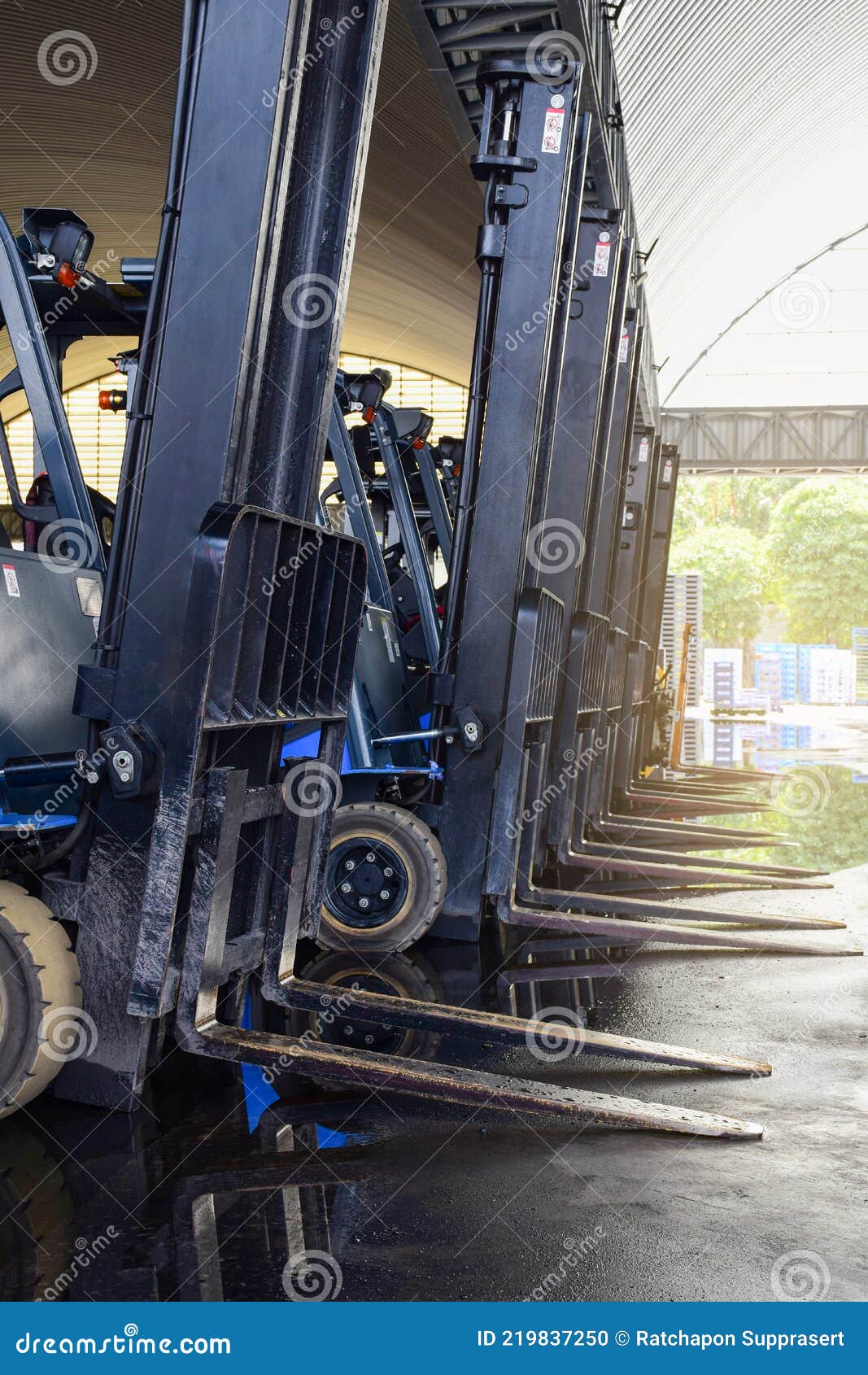 Forklift Trucks Parked in a Warehouse Stock Photo - Image of ...
