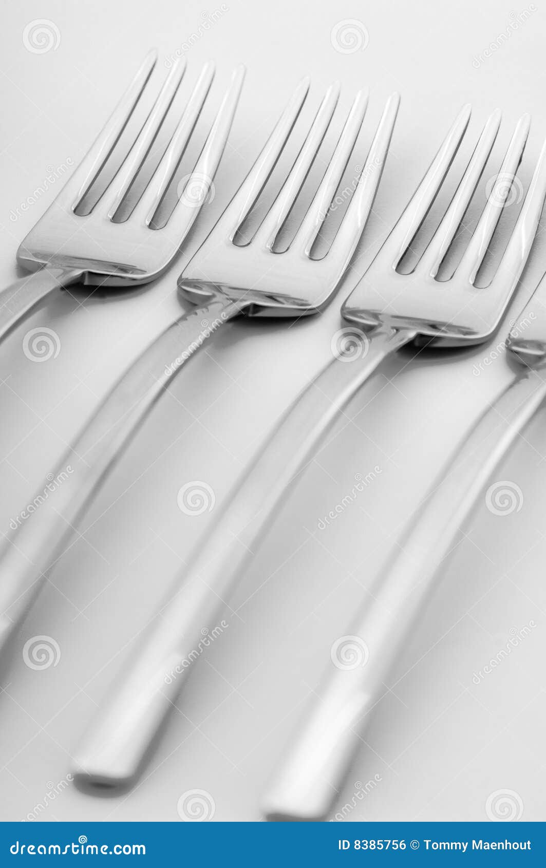 Forks Picture. Image: 8385756