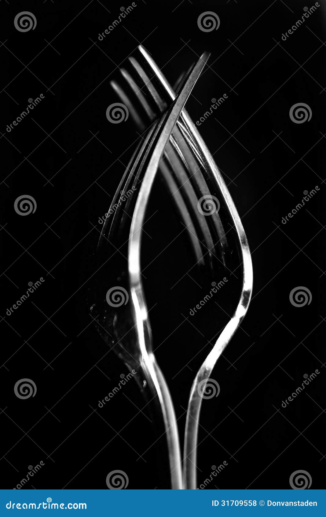 Forks stock photo. Image of feed, reflection, colors - 31709558