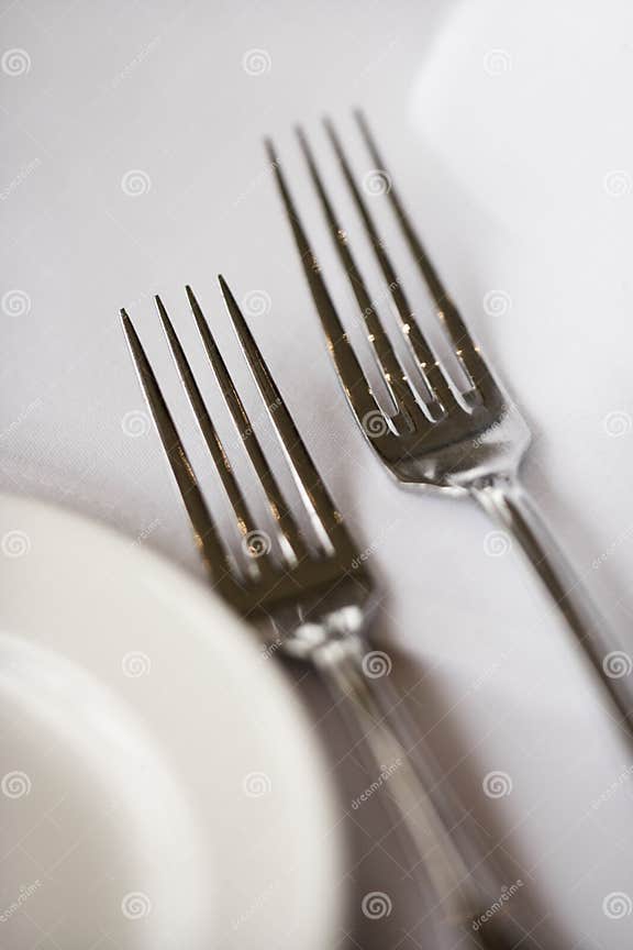 Forks and plate. stock photo. Image of utensil, 070507q0050 - 2850112