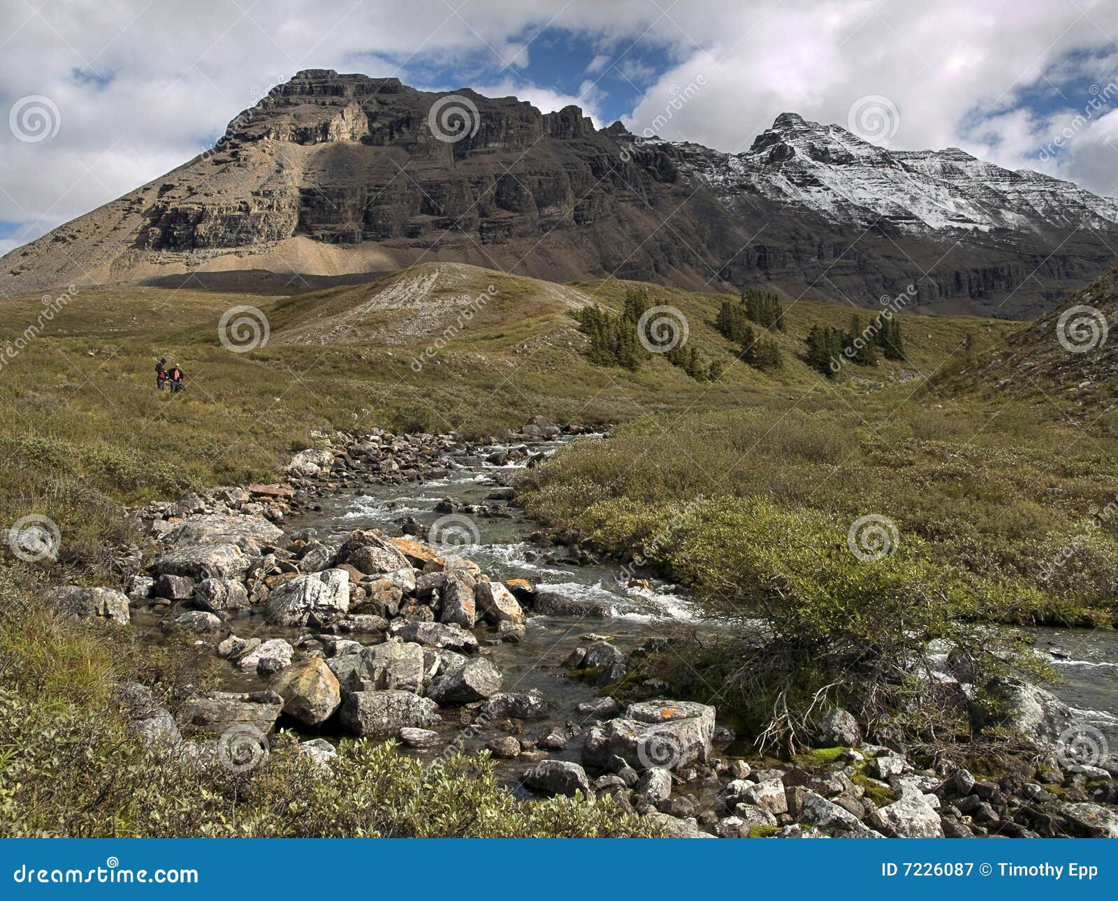 Forlorn Creek stock image. Image of rockies, stream, alpine - 7226087