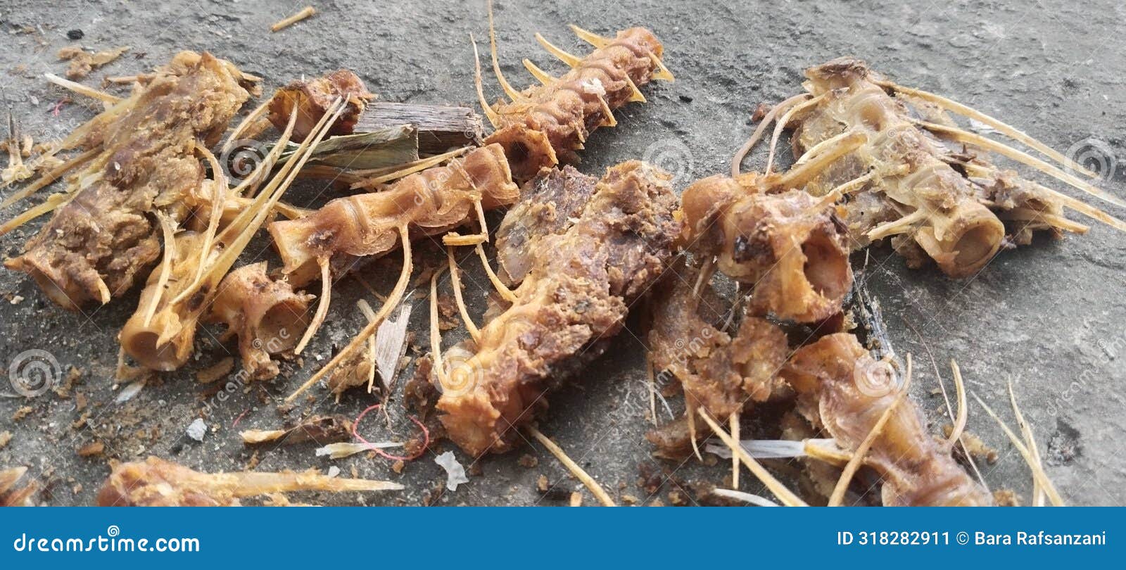 The Form of Fish Bones Remaining after Eating Stock Image - Image of ...