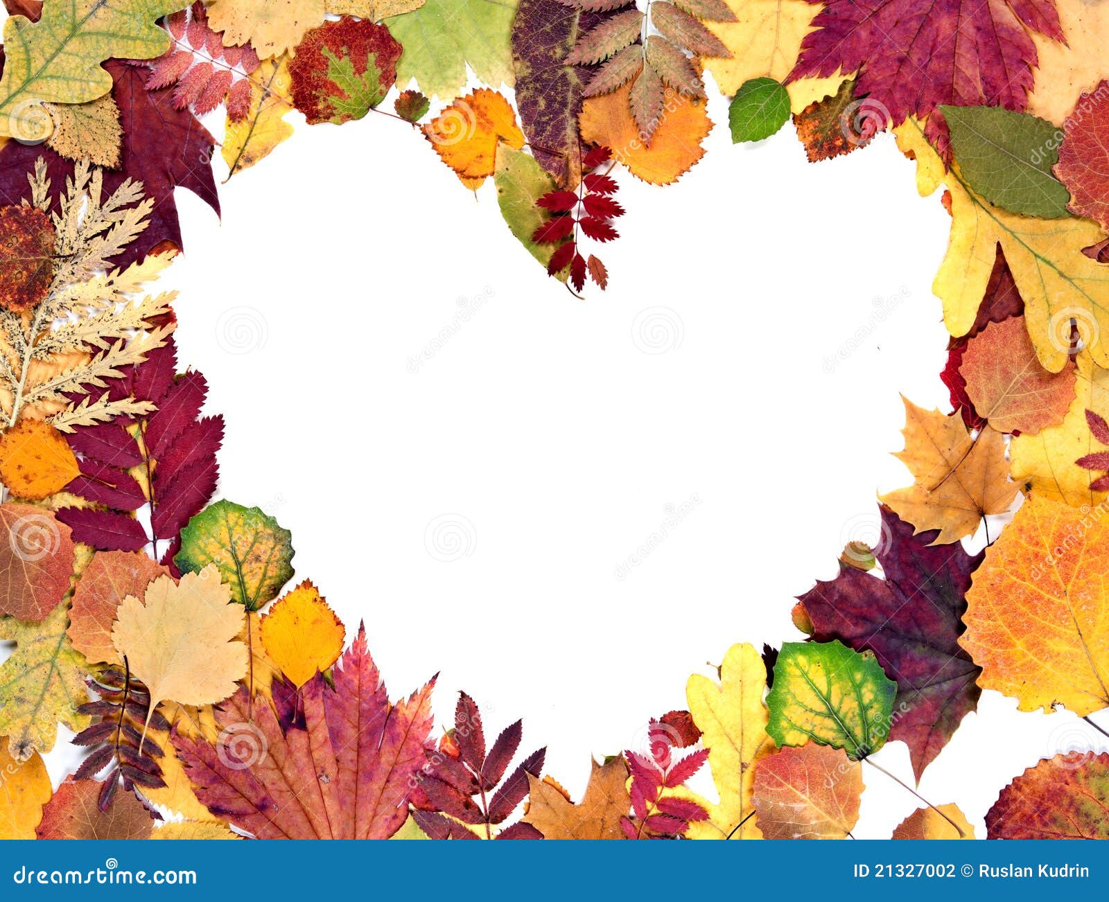 Form the Heart of Autumn Leaves Stock Photo - Image of symbol, pattern ...