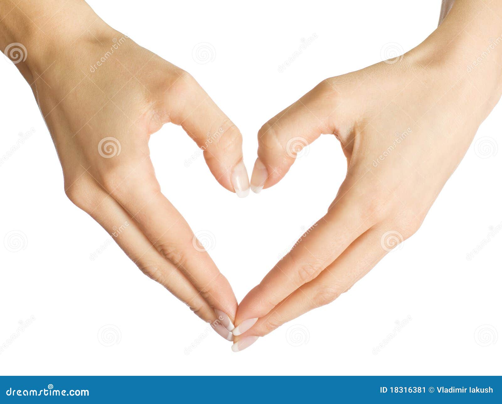 The Form Heart from Female Hands Stock Image - Image of beautiful, girl ...