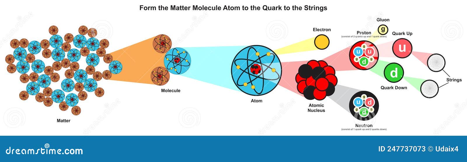 Form the Matter Molecule Atom To the Quark To the Strings Infographic ...