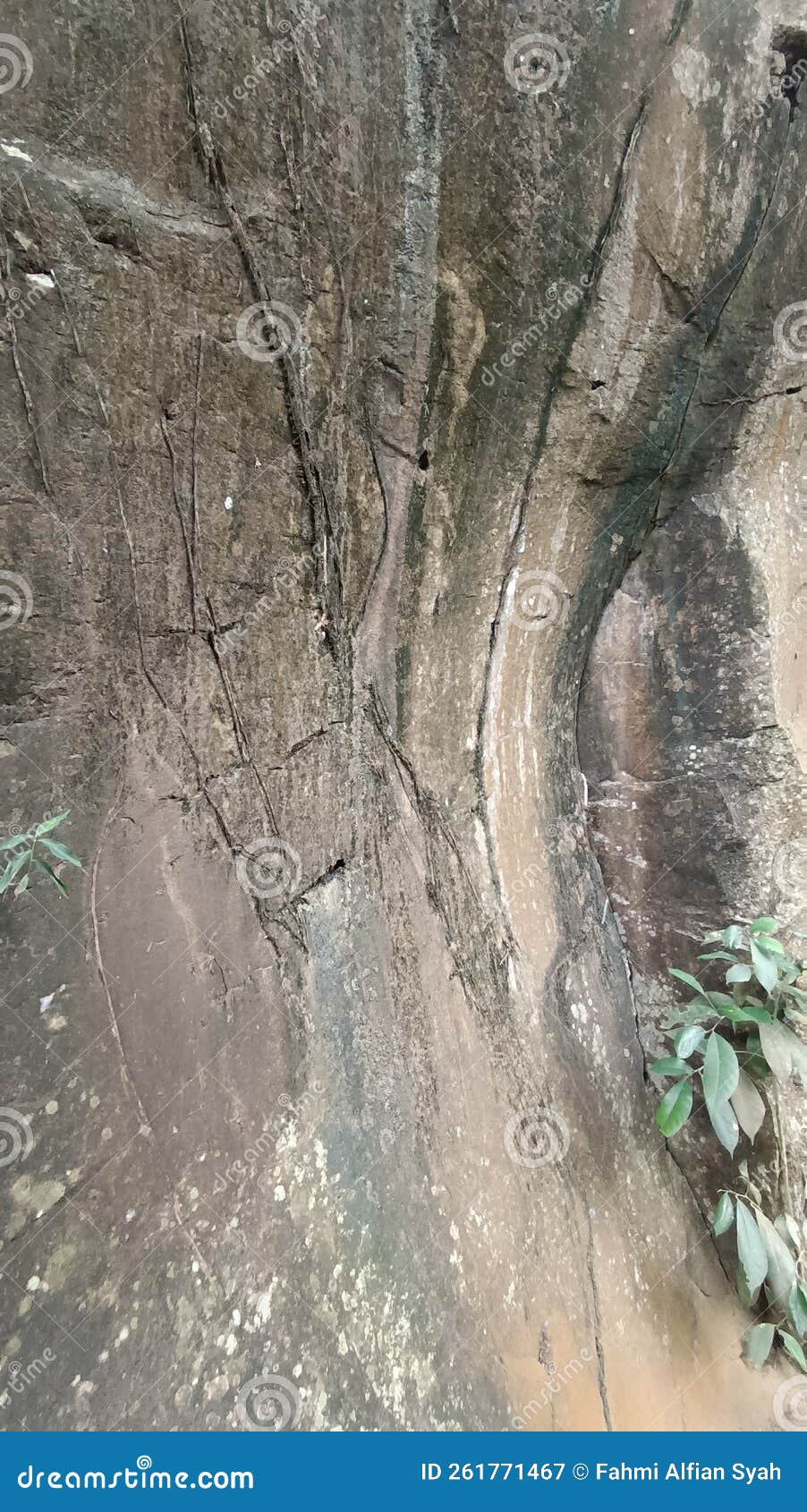 Form of rock in the jungle stock image. Image of terrain - 261771467