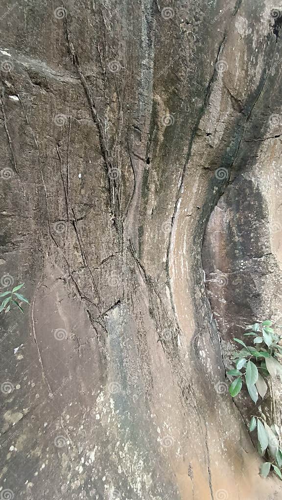 Form of rock in the jungle stock image. Image of terrain - 261771467