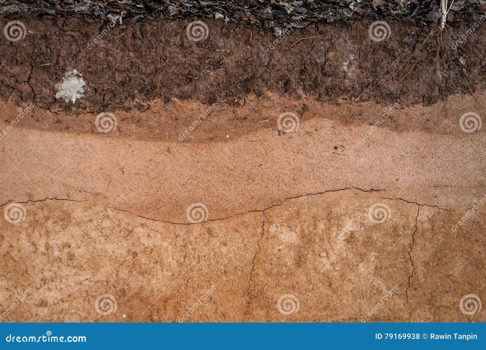 Dirt Layers Texture