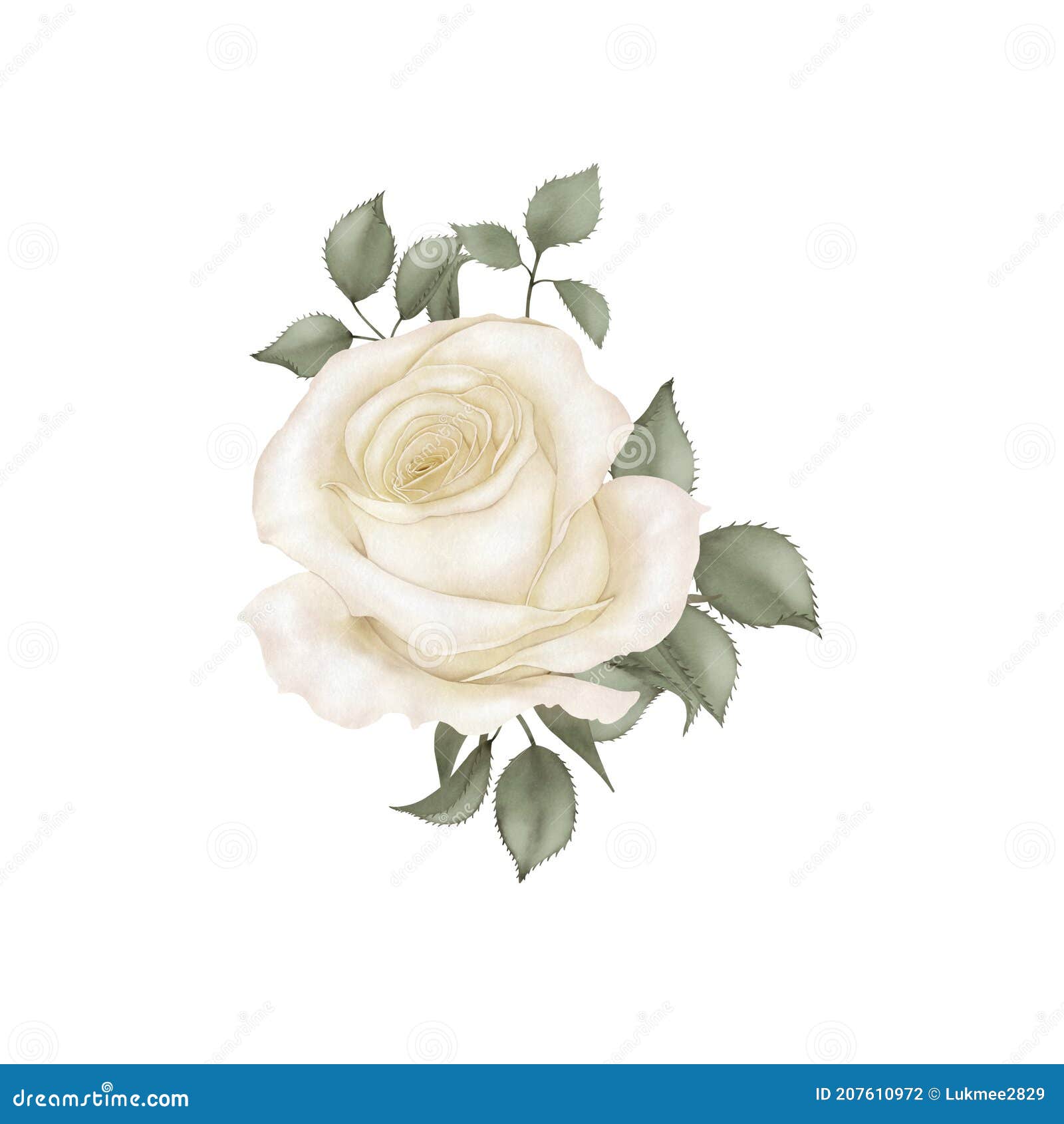 Forma de rosas rosadas stock de ilustración. Ilustración de saludo ...