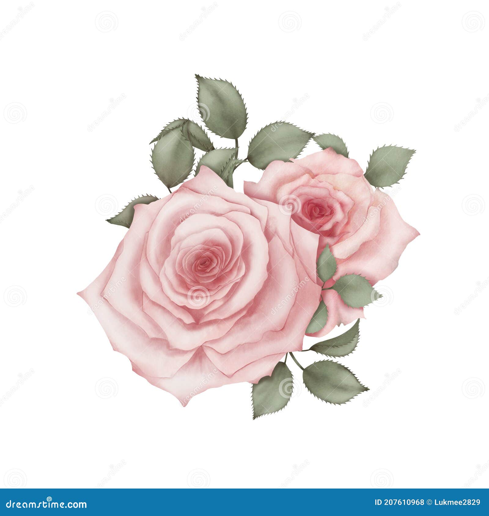 Forma de rosas rosadas stock de ilustración. Ilustración de rosas ...